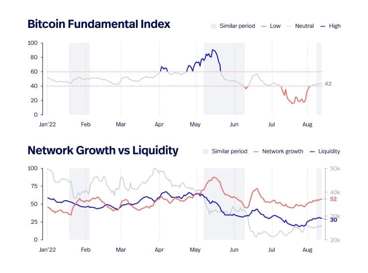 Swissblock | Innovative Crypto Market Insights